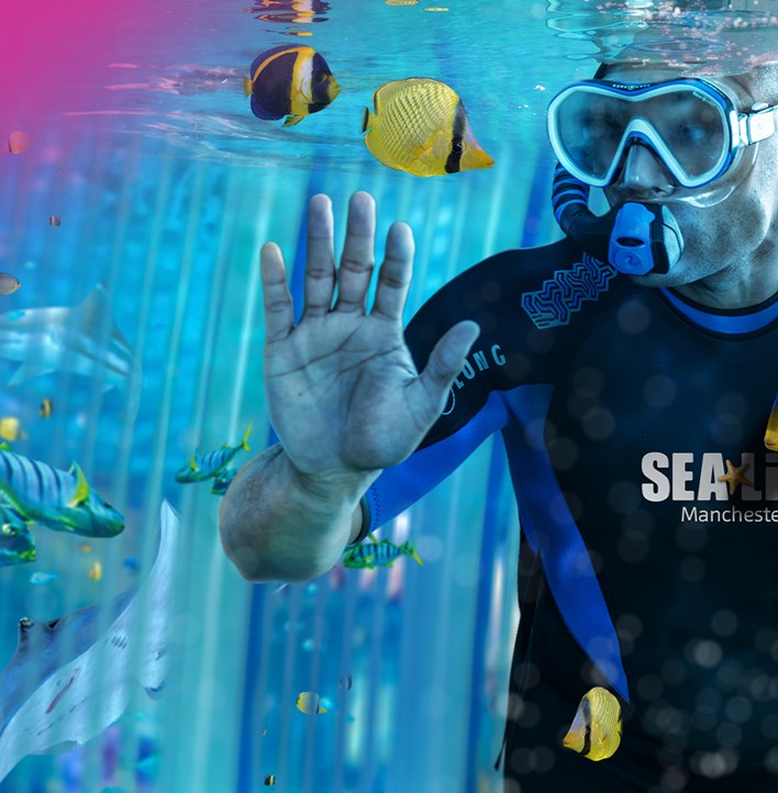 SEA LIFE at TraffordCity Manchester
